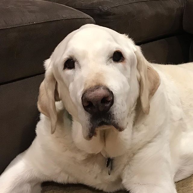 Big Jake White Whiskey 750mL – Still 630